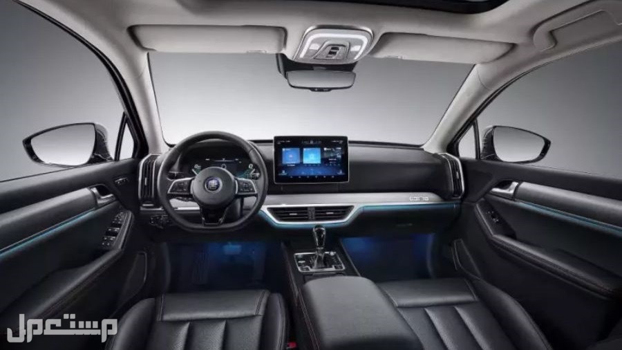 بي واي دي سانج برو 2023 جميع المواصفات والصور - مستعمل