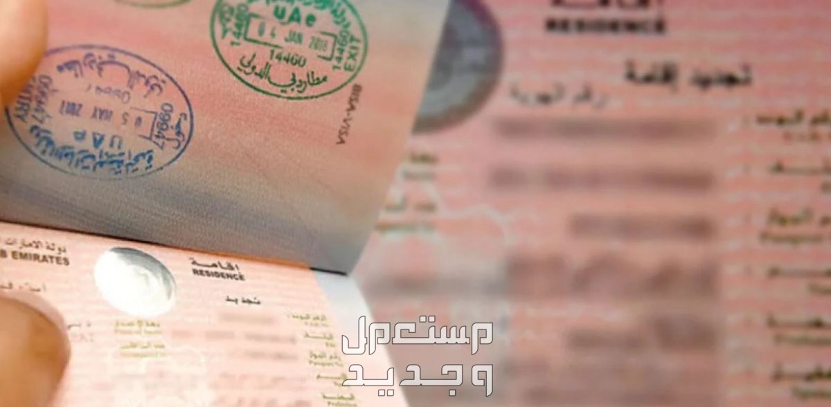 خطوات وشروط الحصول على تأشيرة الزيارة الشخصية 1446 - Mstaml