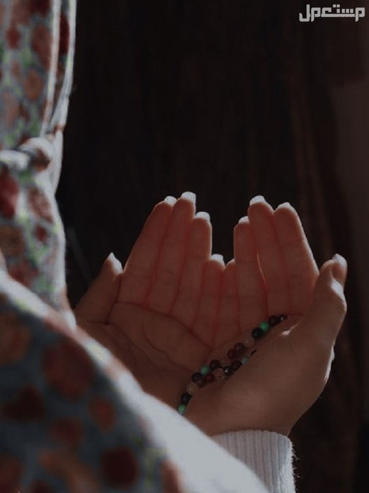 أجمل عبارات عن شهر ربيع الأول 1446 - مستعمل