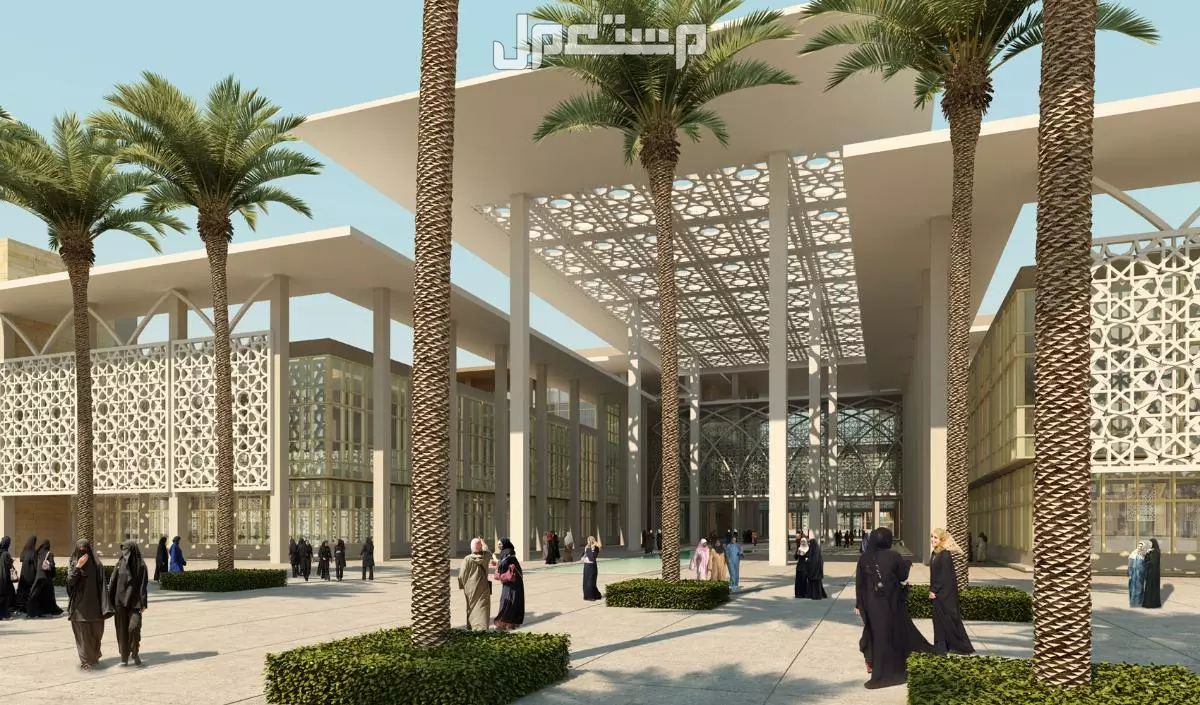 أفضل 5 جامعات في السعودية 2025 بالترتيب والتخصصات - Mstaml