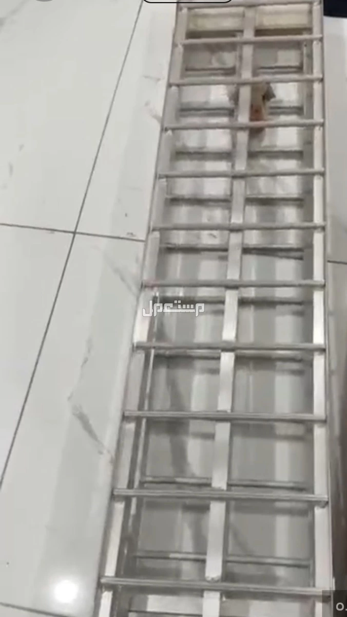 بيع قزوز وخوذه وسلم في جدة بسعر ألفين ريال سعودي - Mstaml